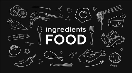 Drawing food ingredients isolated on white Vector Image