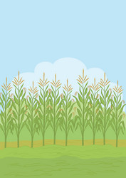 Maize Vector Images (over 12,000)