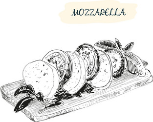Mozzarella Vector Images (over 14,000)