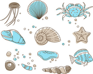 Sea shells set Royalty Free Vector Image - VectorStock