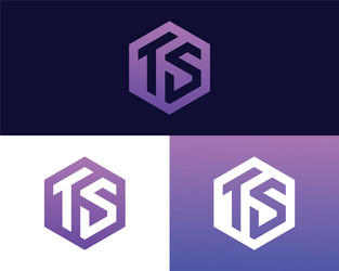 Letter t s logo design creative minimal Royalty Free Vector