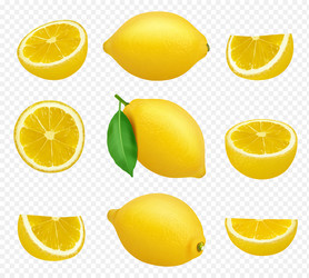 Realistic lemon splash flow with leaves Royalty Free Vector