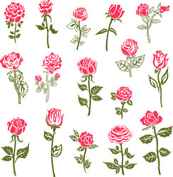 Roses bouquets vintage floral decoration Vector Image