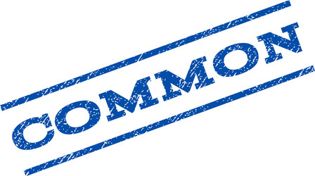Common watermark stamp Royalty Free Vector Image