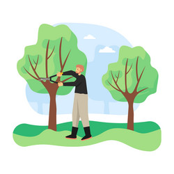 Gardener pruning tree sustainable arboriculture Vector Image