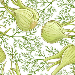 Fennel frame Royalty Free Vector Image - VectorStock