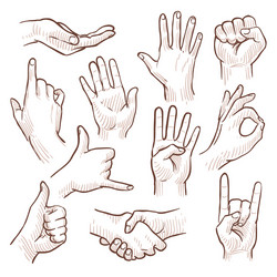 Hand drawing sketch man hands showing different Vector Image