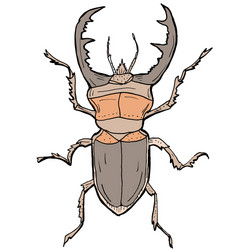 Chitin Vector Images (over 850)