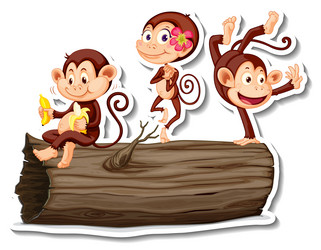 Three Monkeys Cute Vector Images (over 140)
