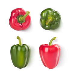 Hot red green chili pepper Royalty Free Vector Image