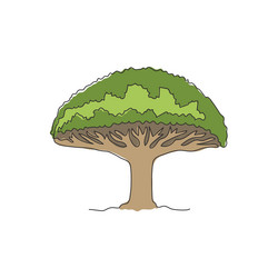 Dragon Blood Tree Vector Images (27)