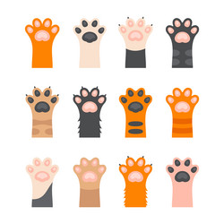 Different cartoon colored cat paws set Royalty Free Vector
