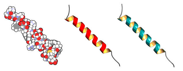 Peptide Vector Images (over 1,400)