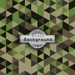 Abstract military camouflage background Royalty Free Vector