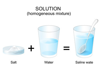Salt water in beaker experiment Royalty Free Vector Image