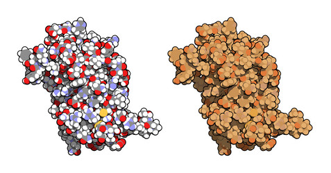 Hgh Vector Images (89)