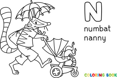 Numbat nanny abc coloring book alphabet n Vector Image