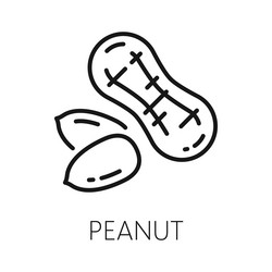 Outline Groundnut Peanut Vector Images (over 360)
