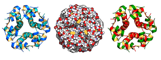 Insulin Hormone Vector Images (over 310)