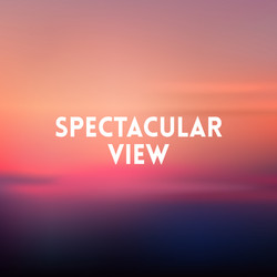 Spectacular Vector Images (over 2,500)