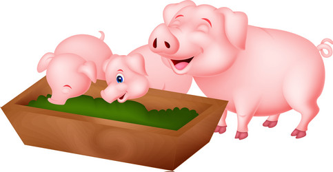 Cartoon pig eating on white background Royalty Free Vector