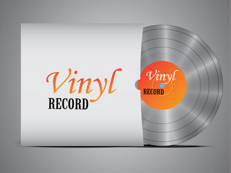 Plastic vinyl album cover wrap overlay texture Vector Image