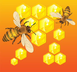 Bees Wax Vector Images (over 7,600)