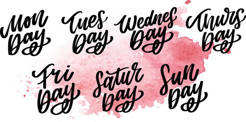 Handwritten week days and symbols set ink font Vector Image