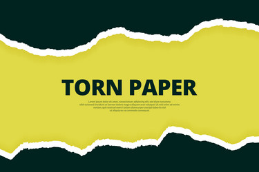 Yellow Wattle Vector Images (over 200)