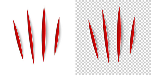 Claw Transparent Vector Images (over 870)