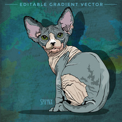 Sphynx Cat Vector Images (over 1,100)