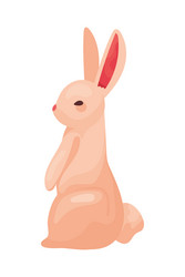 Rabbit Sitting Vector Images (over 5,700)