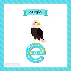 Eagle Flashcard Vector Images (24)