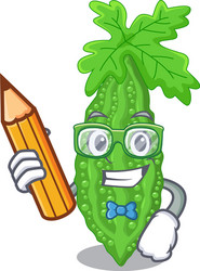 Bitter Gourd Cartoon Vector Images (over 140)
