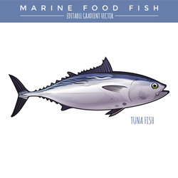 Tuna Vector Images (over 28,000)