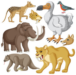 Collection of extinct animals Royalty Free Vector Image