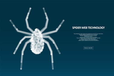 Spider hacker attack danger Royalty Free Vector Image