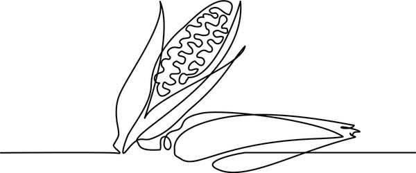 Continuous One Line Draw Vegetables Two Avocado Vector Image