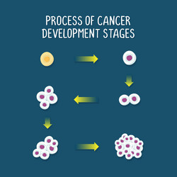 Process of metastases cancer stages isolated Vector Image
