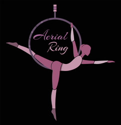 Pole dancer Royalty Free Vector Image - VectorStock