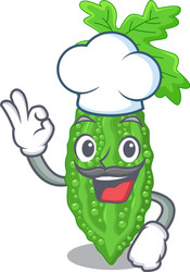 Bitter Gourd Cartoon Vector Images (over 140)