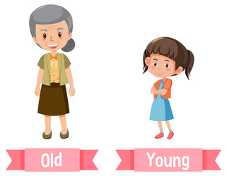 Opposite words for old and young Royalty Free Vector Image