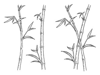 Illustrator Cross Hatching Vector Images (over 3,000)