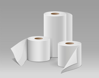 White paper roll ripped design long collections Vector Image