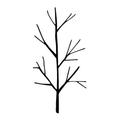 Old tree simple outline Royalty Free Vector Image
