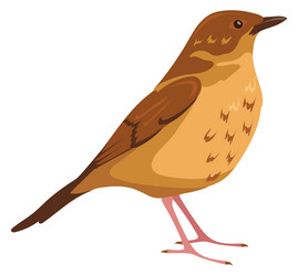 Animal symbol on thrush Royalty Free Vector Image