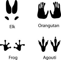 Frog foot print on white background Royalty Free Vector