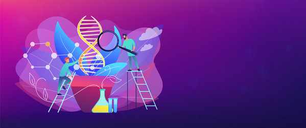 Genetically modified plants concept banner header Vector Image