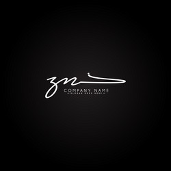 Zn handwritten signature logo - logo template for Vector Image