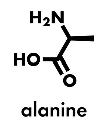 Alanine Amino Acid Vector Images (95)